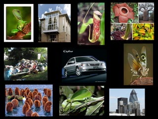 Science | PPT