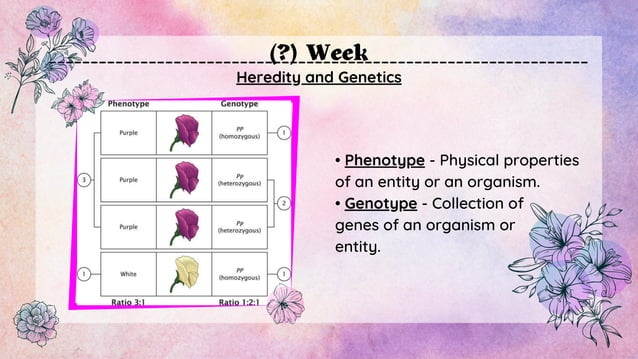 Science | Grade 9 - 1st Quarter | PDF | Lung and Respiratory Health ...