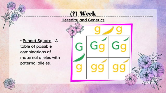 Science | Grade 9 - 1st Quarter | PDF | Lung and Respiratory Health ...