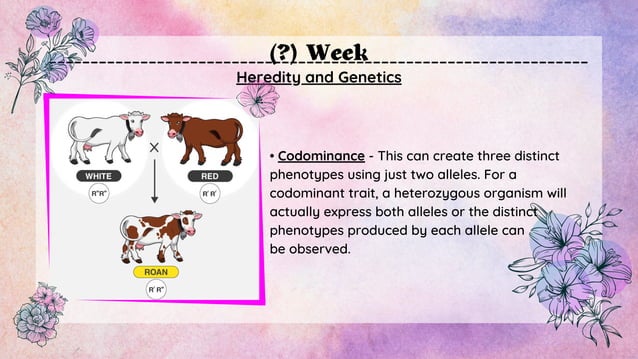 Science | Grade 9 - 1st Quarter | PDF | Lung and Respiratory Health ...