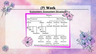 Science | Grade 9 - 1st Quarter | PDF