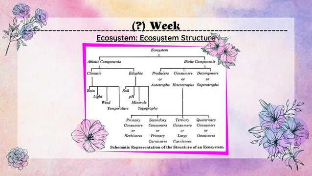Science | Grade 9 - 1st Quarter | PDF | Lung and Respiratory Health ...