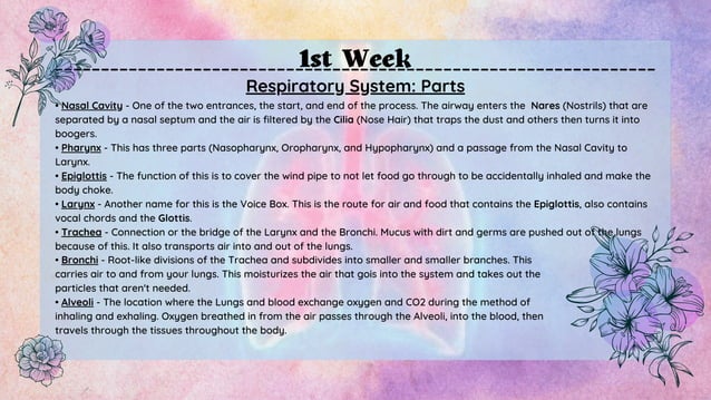 Science | Grade 9 - 1st Quarter | PDF | Lung and Respiratory Health ...