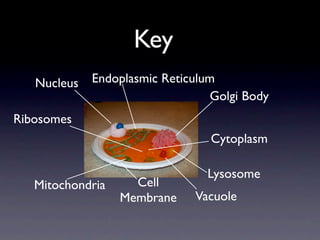 Science Paluska | KEY