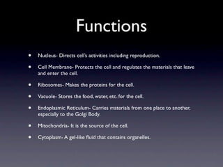 Science Paluska | PPT