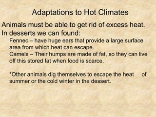 heat & temperature with the adaptation of animalas and plants | PPT