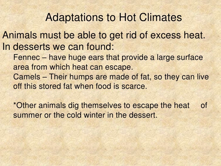heat & temperature with the adaptation of animalas and plants