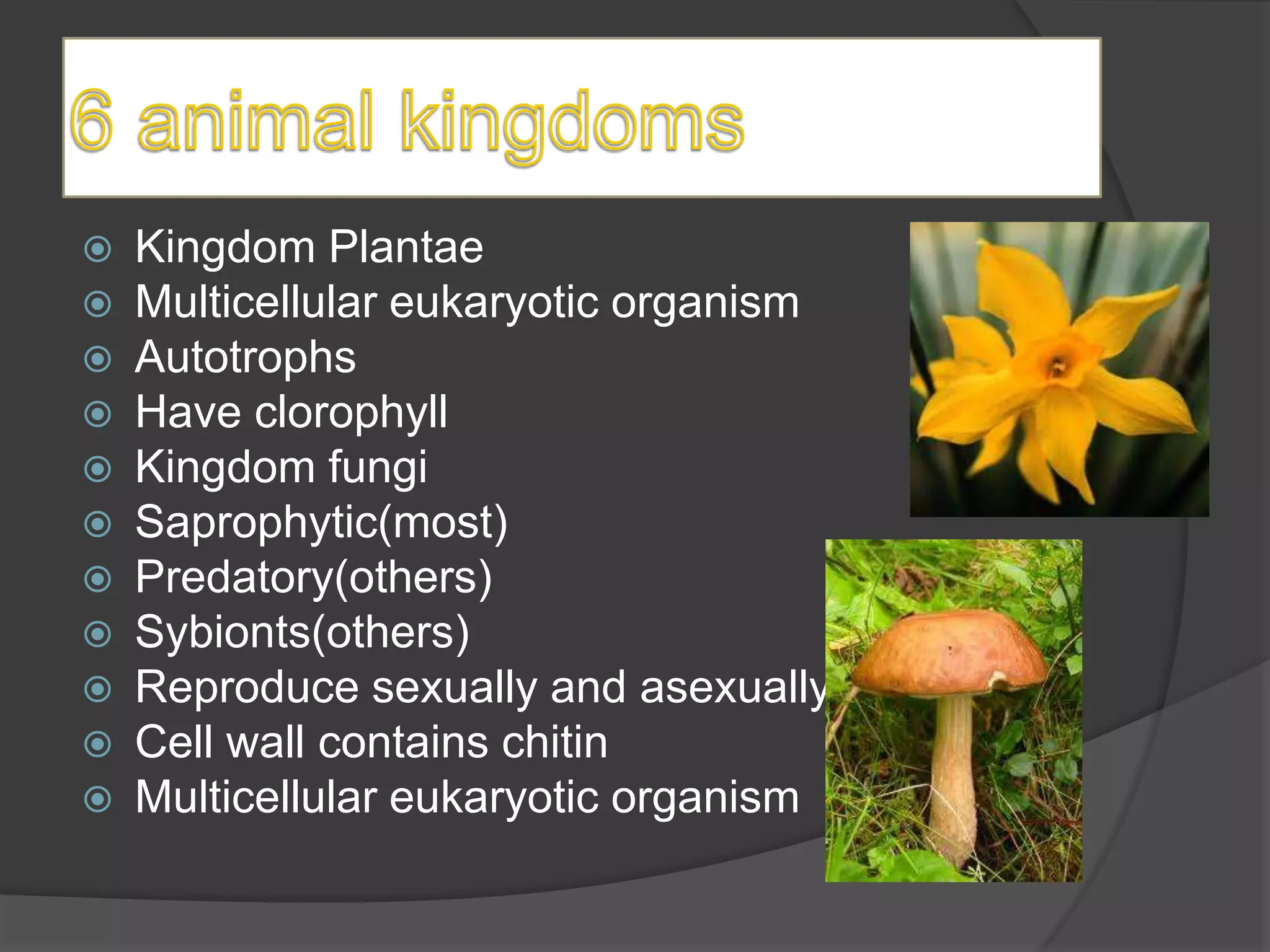 Grade 5 lessons on science | PPTX