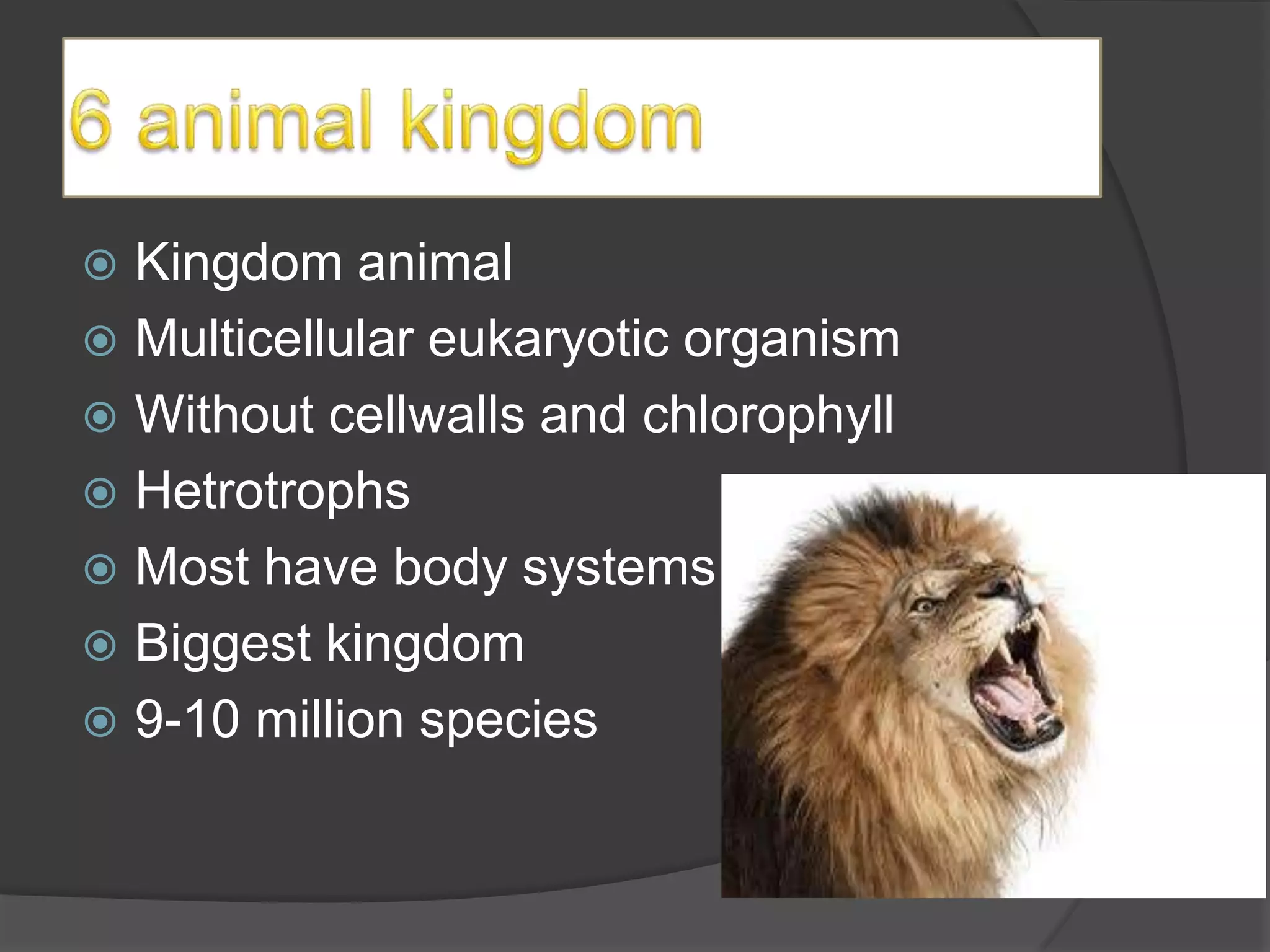 Grade 5 lessons on science | PPTX