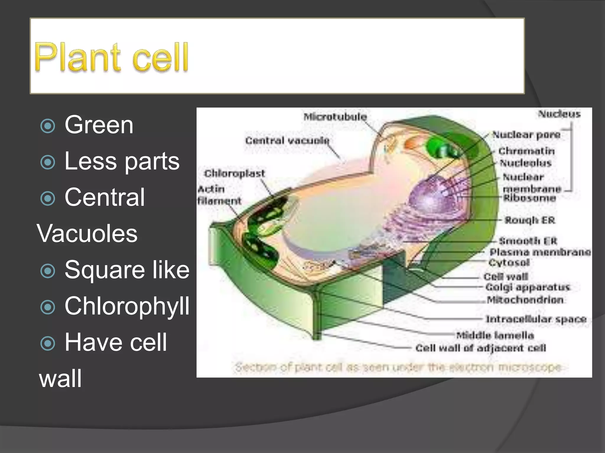 Grade 5 lessons on science | PPTX