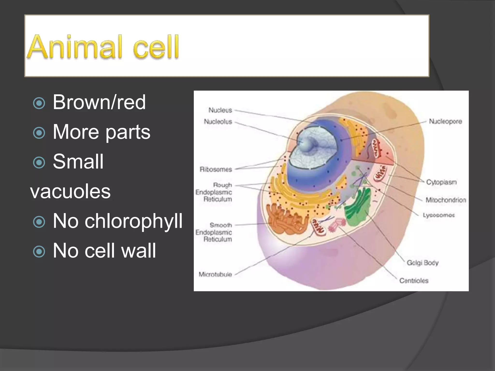 Grade 5 lessons on science | PPTX