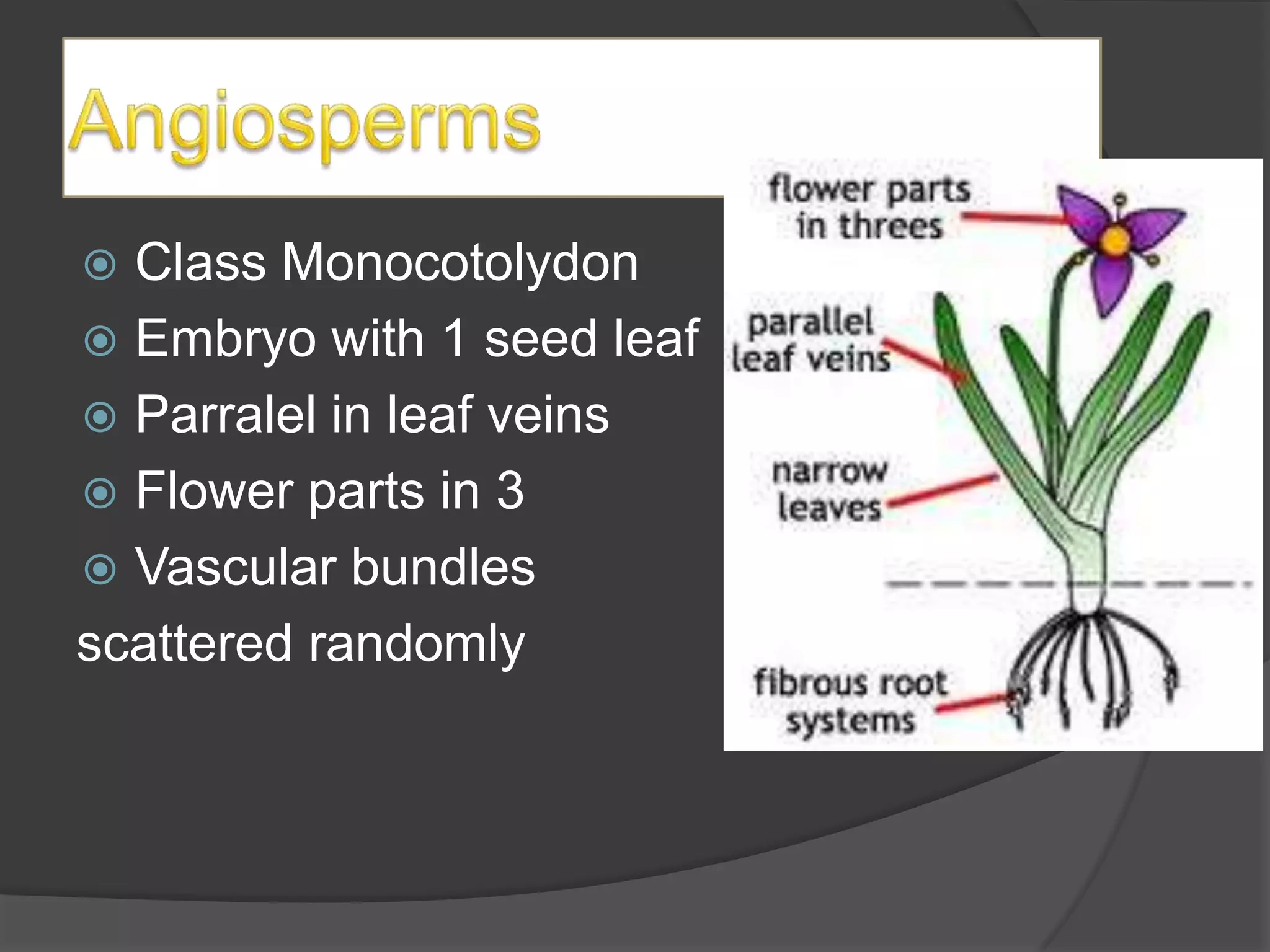 Grade 5 lessons on science | PPTX