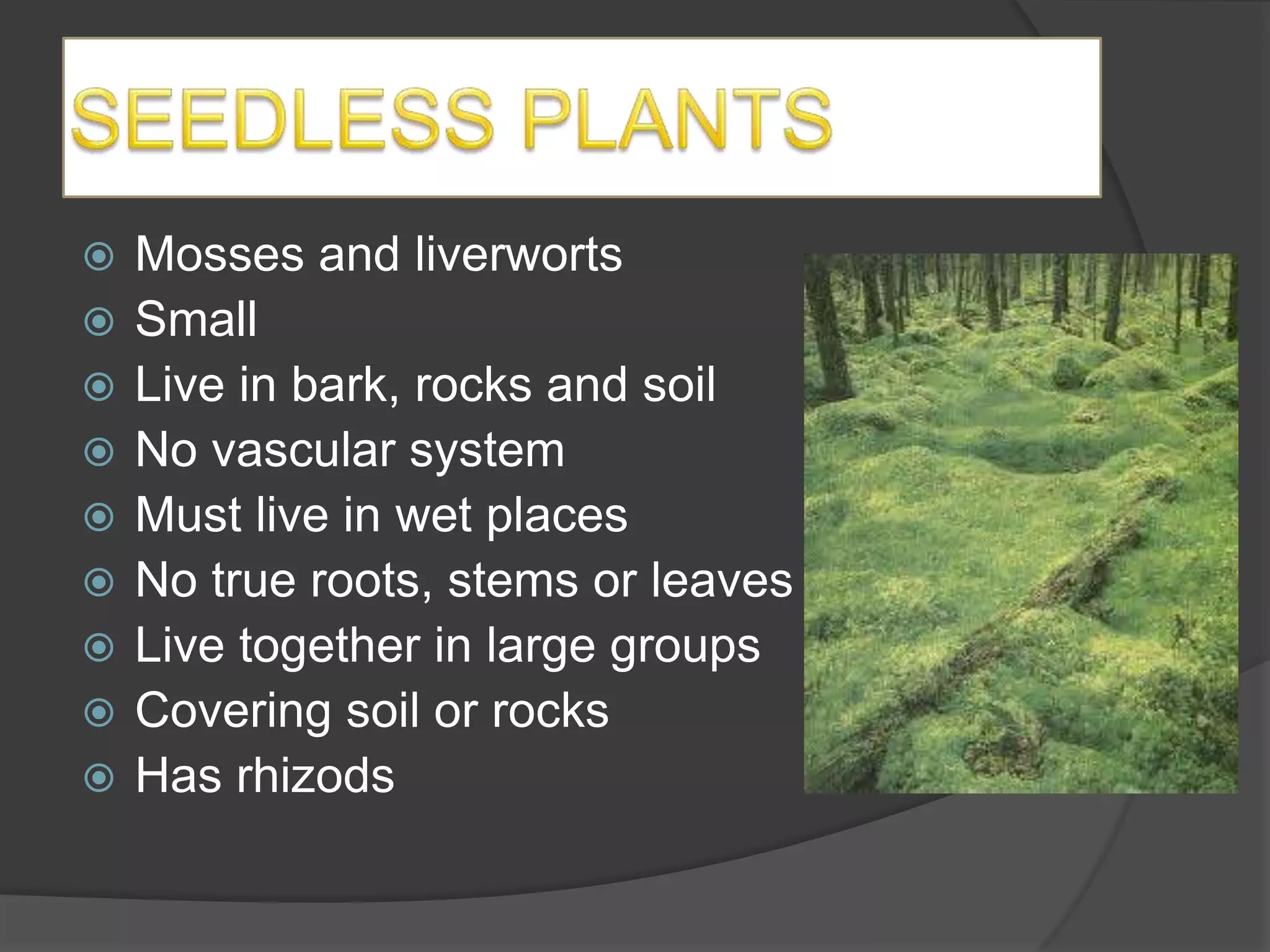 Grade 5 lessons on science | PPTX