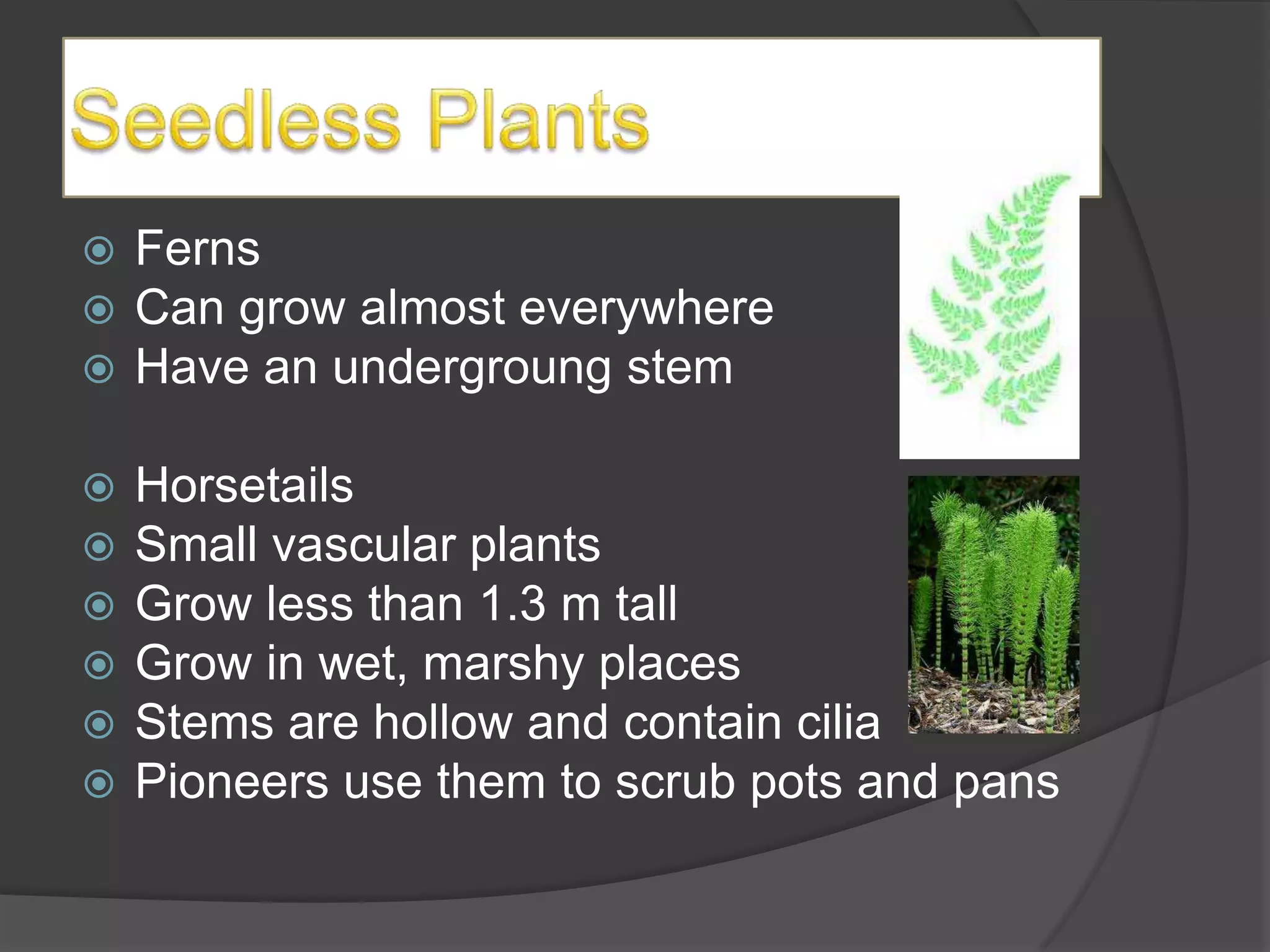 Grade 5 lessons on science | PPTX