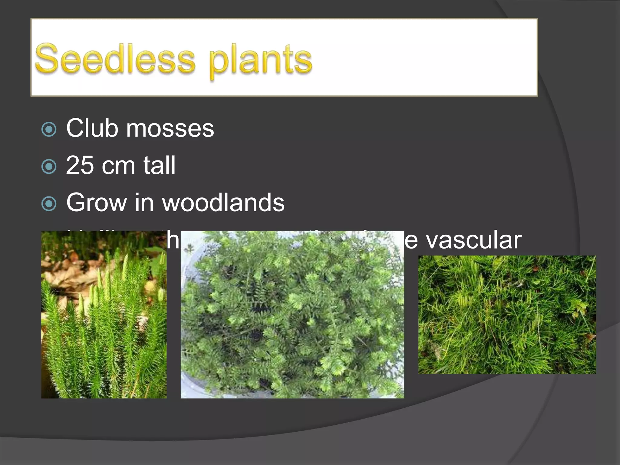 Grade 5 lessons on science | PPTX