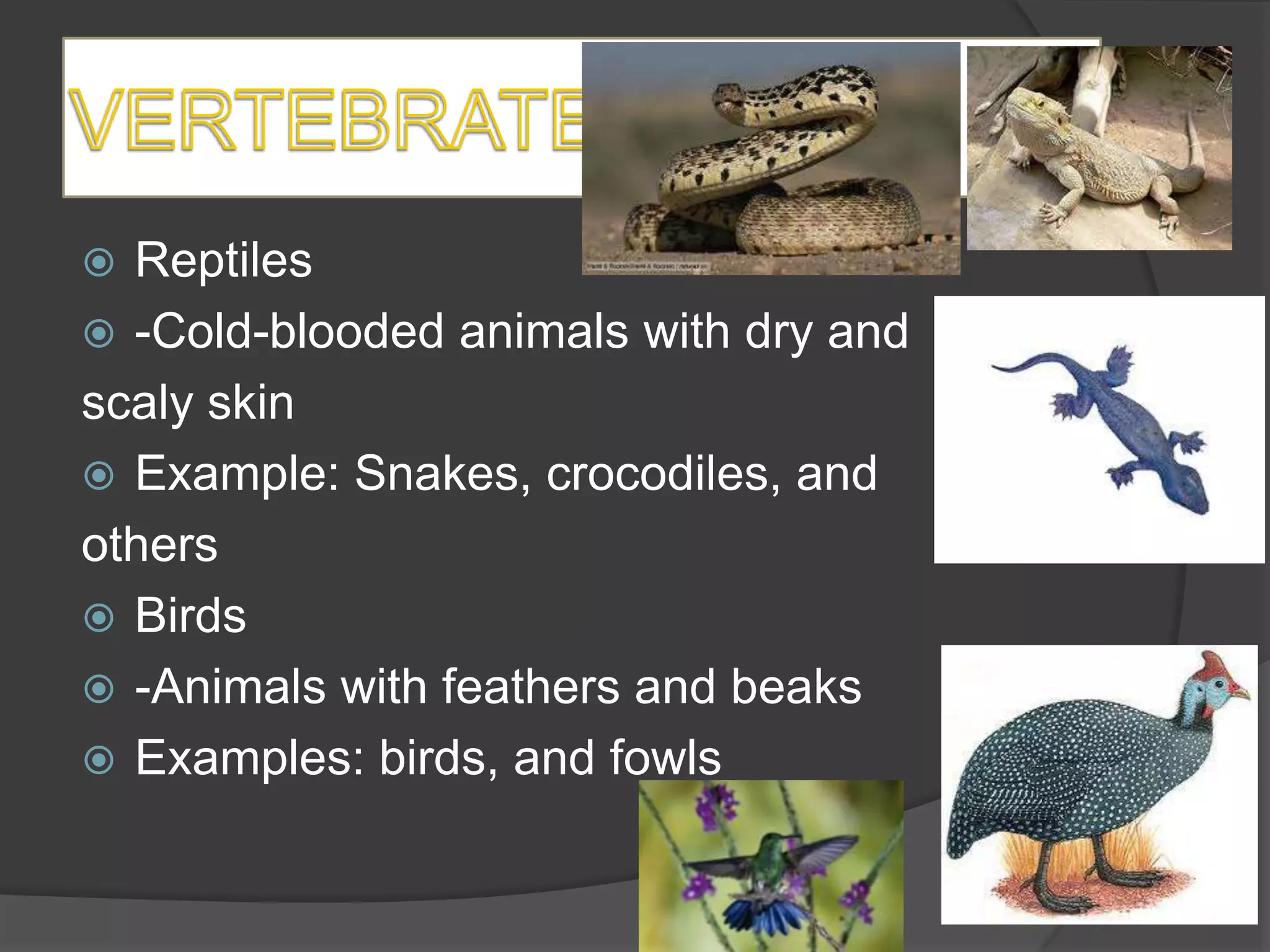 Grade 5 lessons on science | PPTX