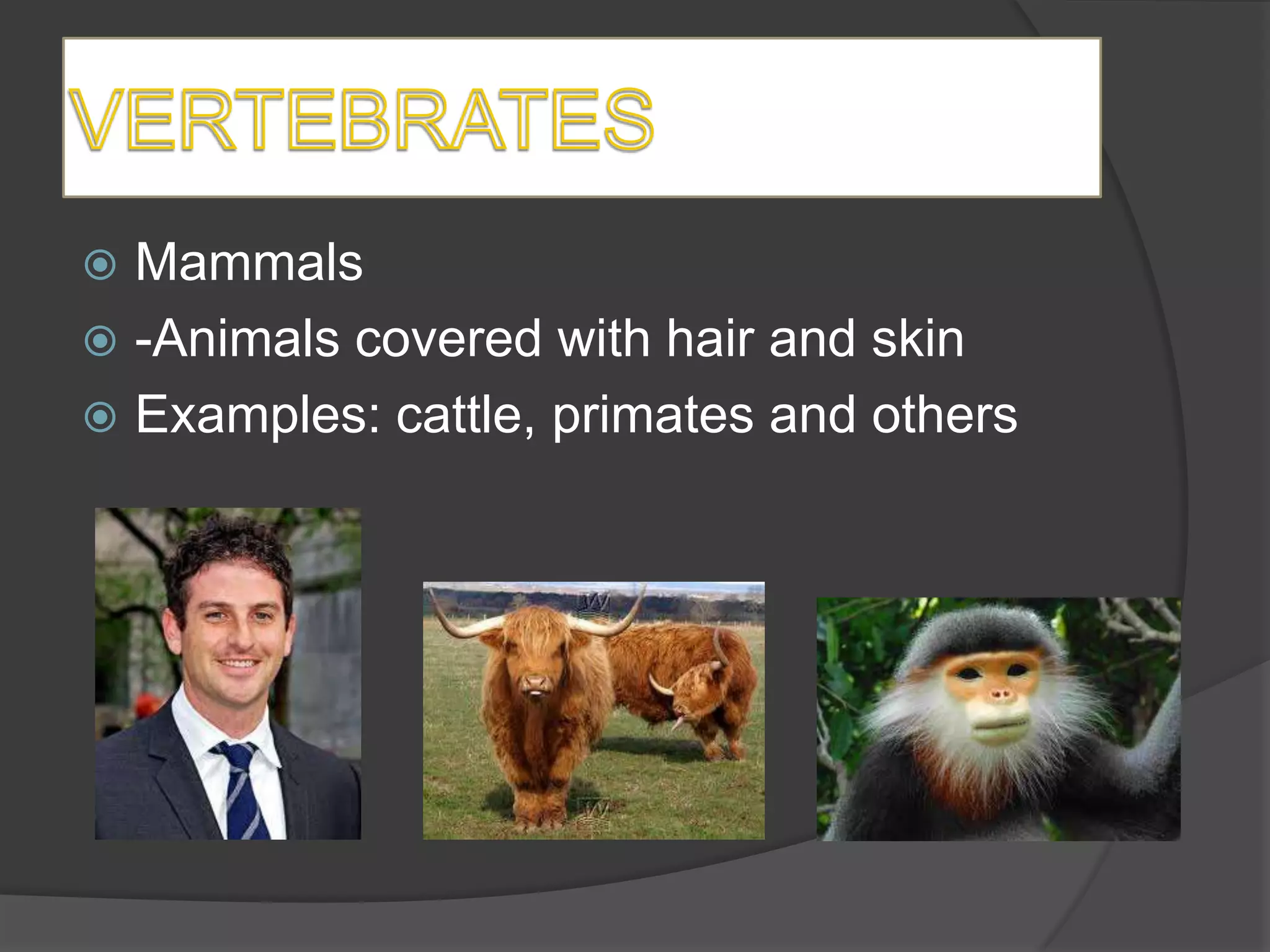 Grade 5 lessons on science | PPTX