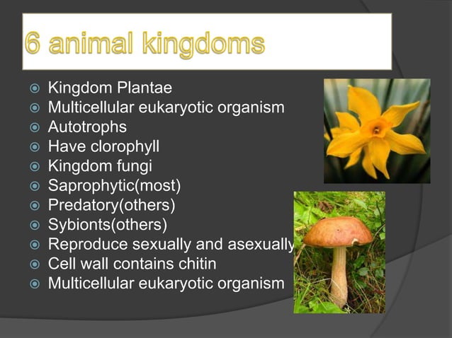 Grade 5 lessons on science | PPTX