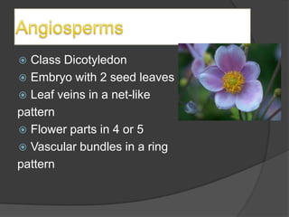 Grade 5 lessons on science | PPTX