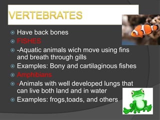 Grade 5 lessons on science | PPTX