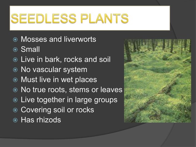 Grade 5 lessons on science | PPTX