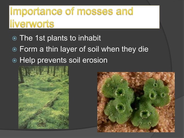 Grade 5 lessons on science | PPTX