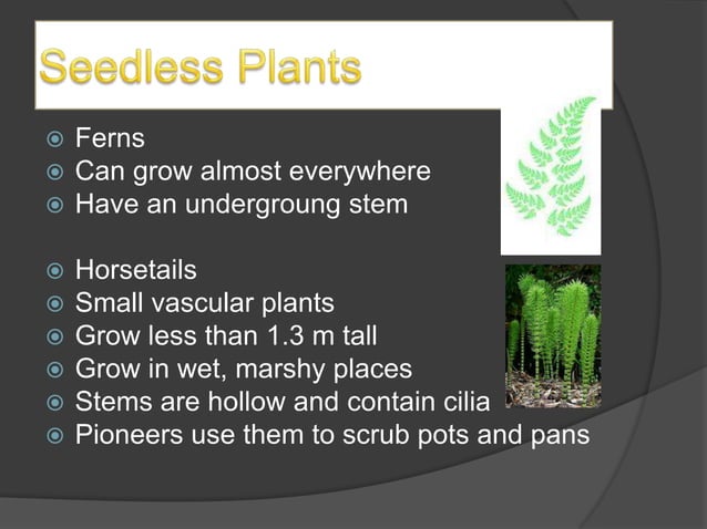Grade 5 lessons on science | PPTX
