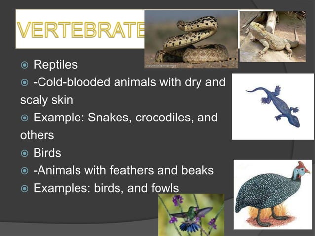 Grade 5 lessons on science | PPTX