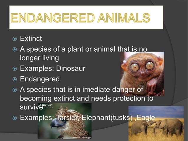 Grade 5 lessons on science | PPTX