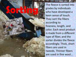 wool from fibre to fabric | PPTX