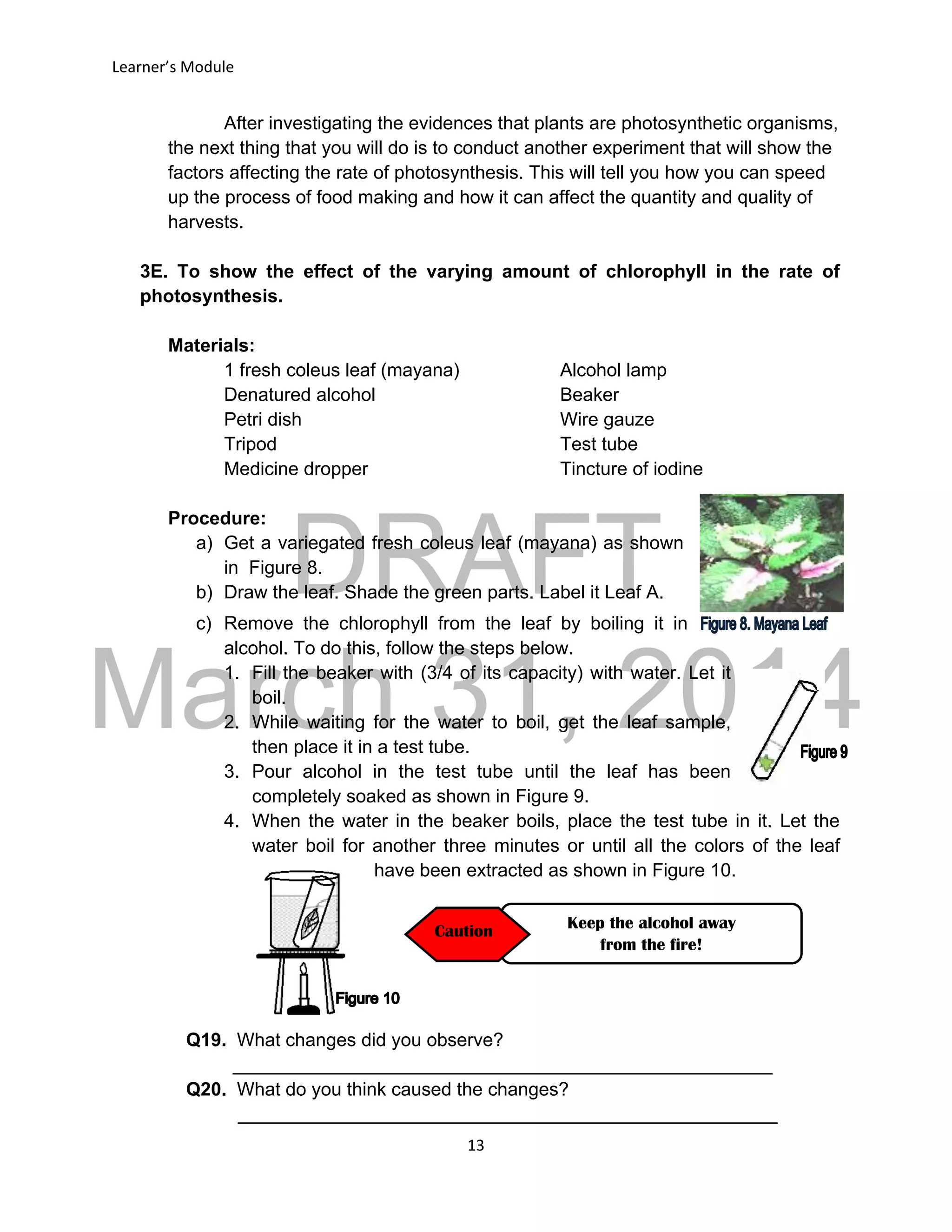 K TO 12 GRADE 9 LEARNER’S MATERIAL IN SCIENCE | PDF
