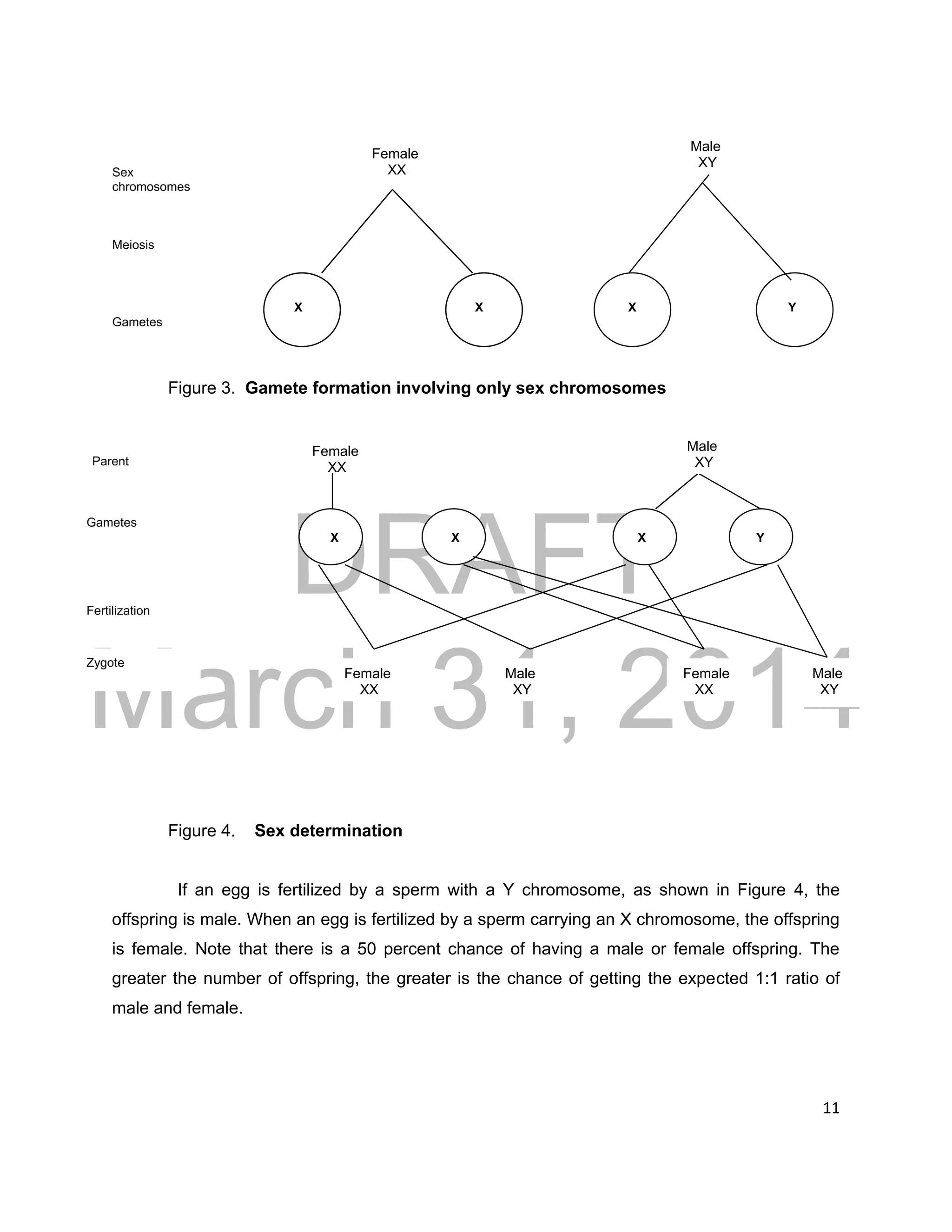K TO 12 GRADE 9 LEARNER’S MATERIAL IN SCIENCE | PDF
