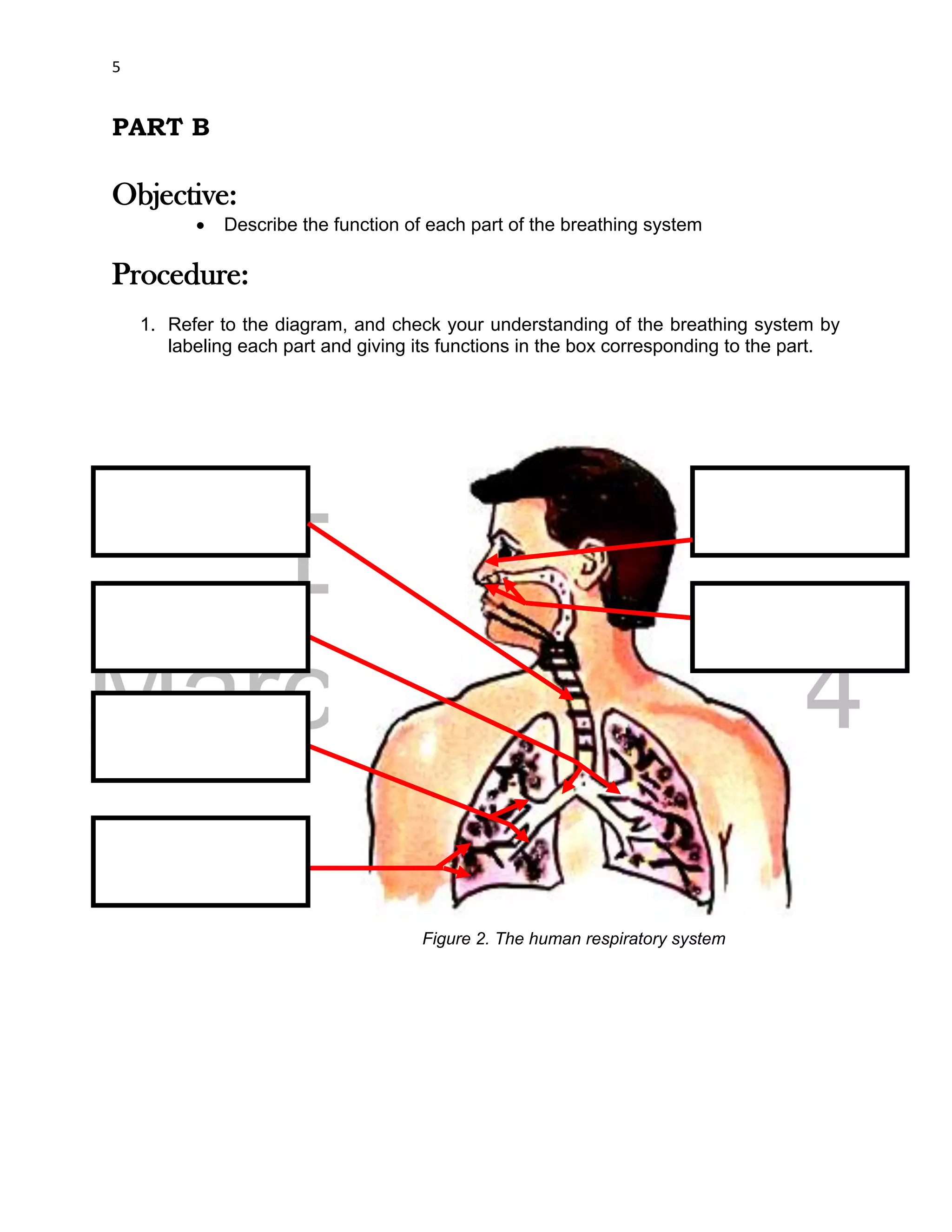 K TO 12 GRADE 9 LEARNER’S MATERIAL IN SCIENCE | PDF