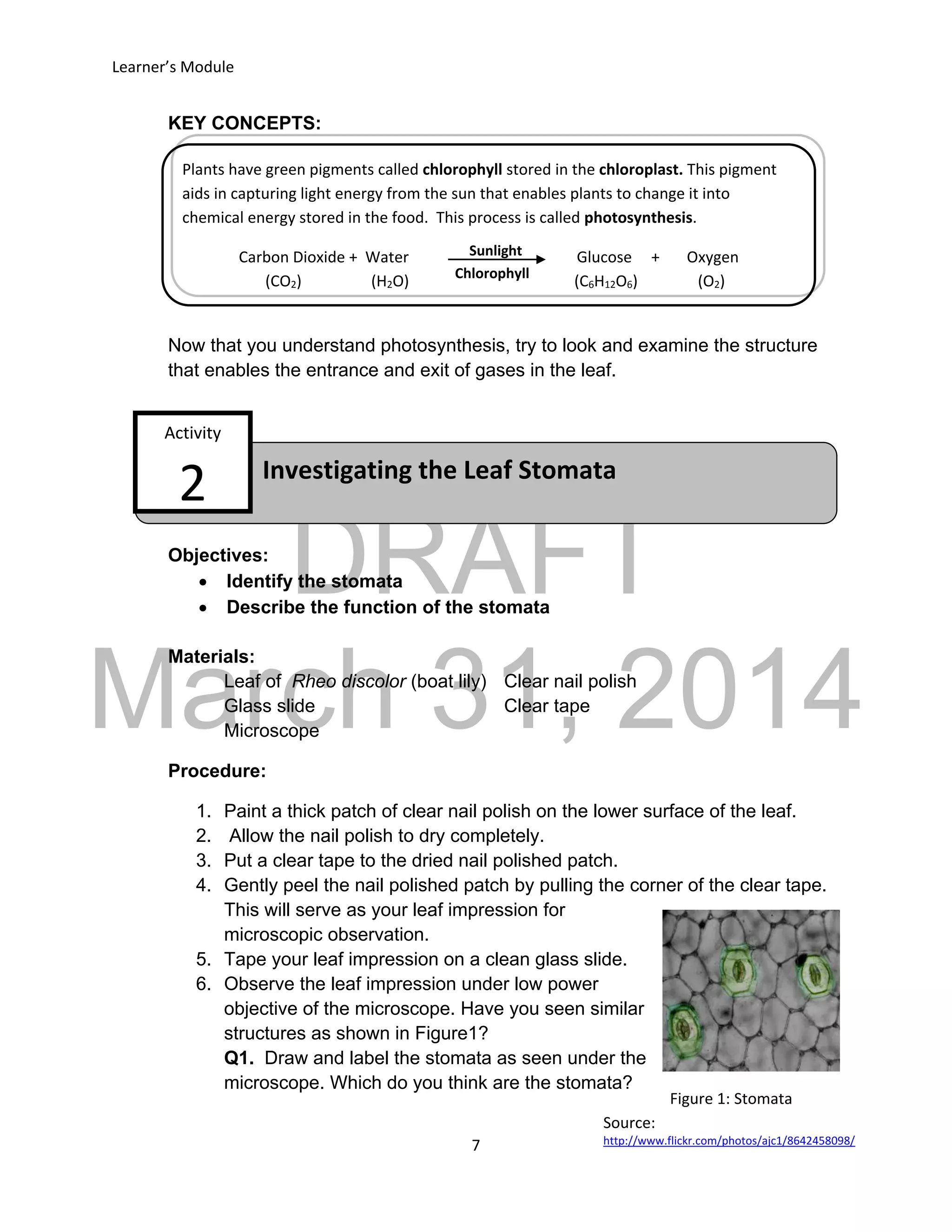 K TO 12 GRADE 9 LEARNER’S MATERIAL IN SCIENCE | PDF