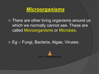 Microorganisms | PPTX