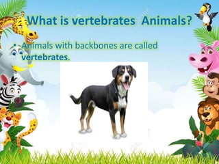 Classifying Animals and their Group | PPTX