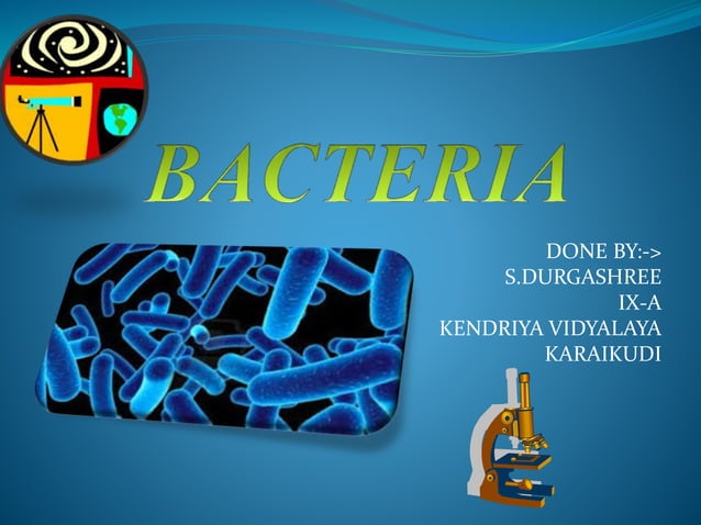 Bacteria Class 9 Science | PPT