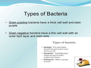 Bacteria Class 9 Science | PPT