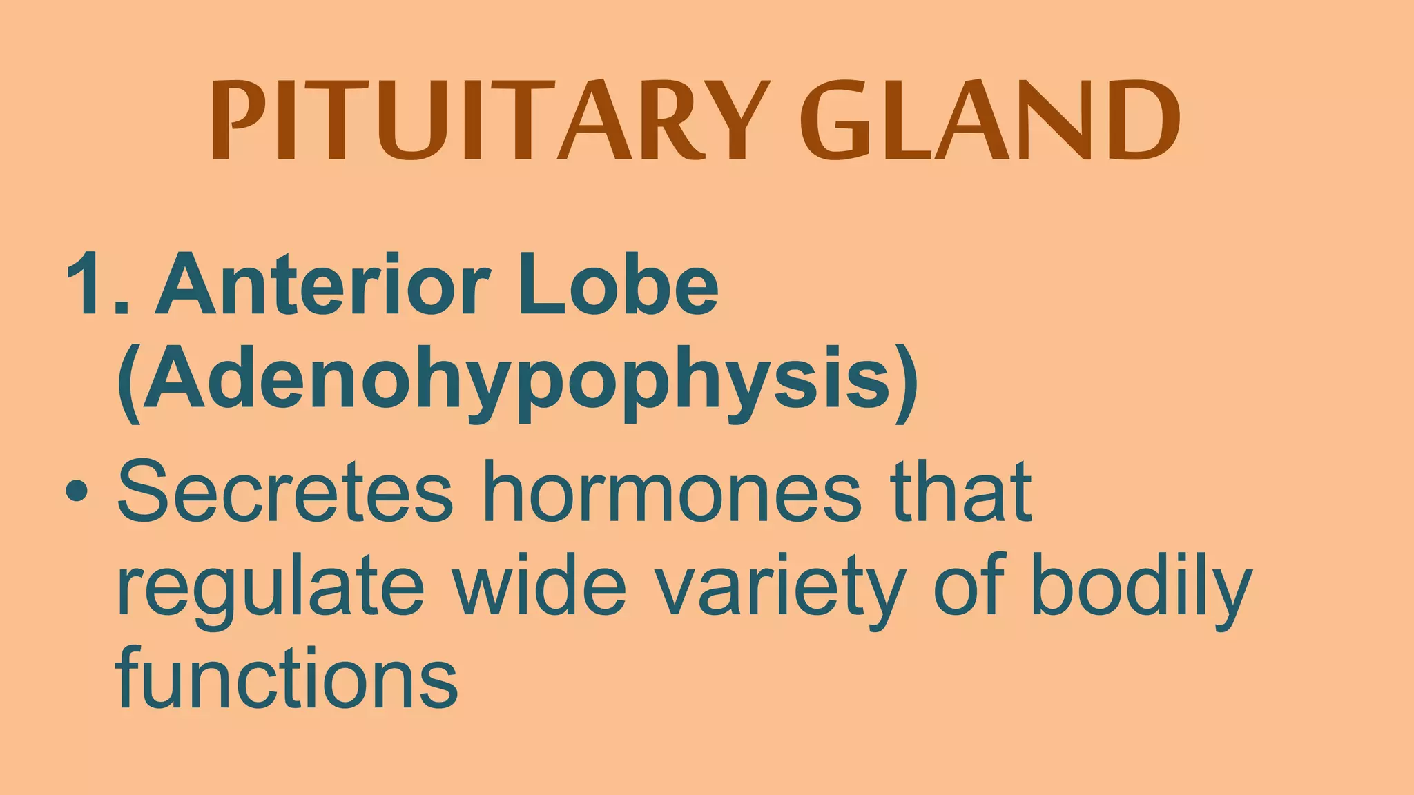 The Hypothalamus and Pituitary Gland | PPTX