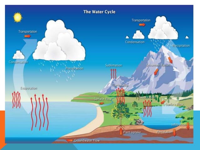 All About Water GRADE 4 (K to 12) | PPTX
