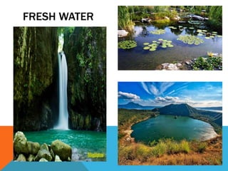 All About Water GRADE 4 (K to 12) | PPTX
