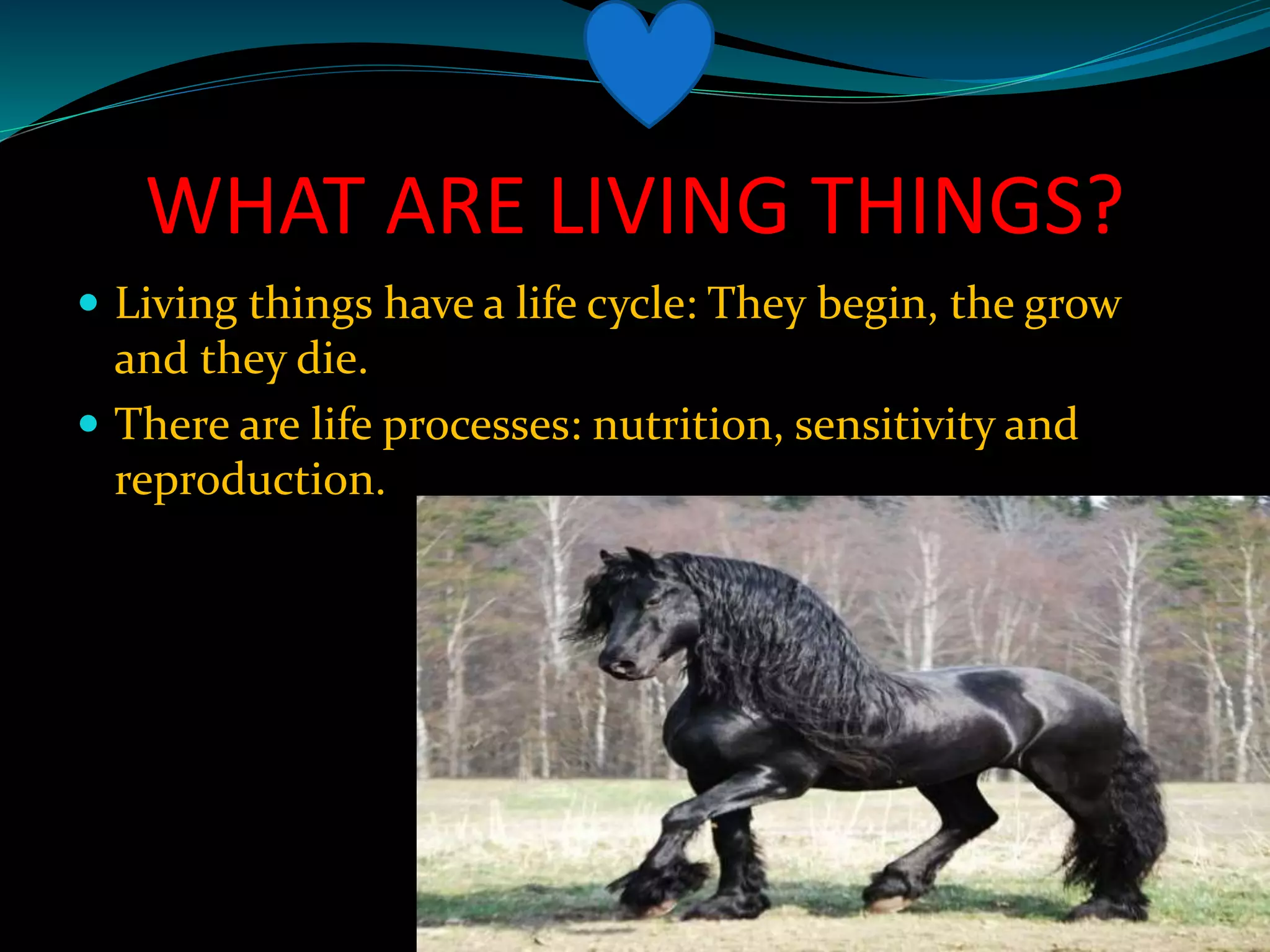 Living things -Aitor | PPTX