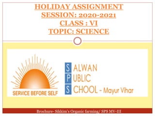 Science Holiday Assignment | PPT