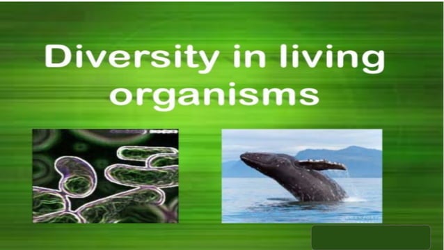 diversity in living organisms class 9 cbse | PDF