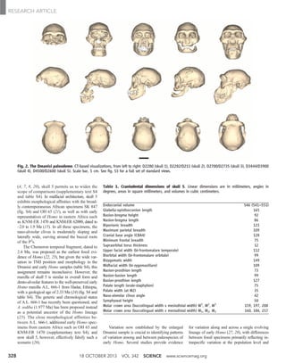 A Complete Skull from Dmanisi, Georgia, and the Evolutionary Biology of ...