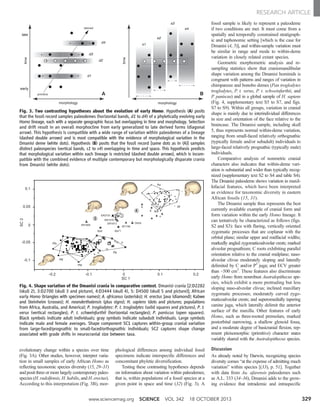 A Complete Skull from Dmanisi, Georgia, and the Evolutionary Biology of ...