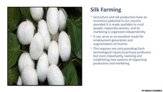 Sericulture tradition in odisha | PPTX
