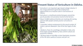 Sericulture tradition in odisha | PPTX