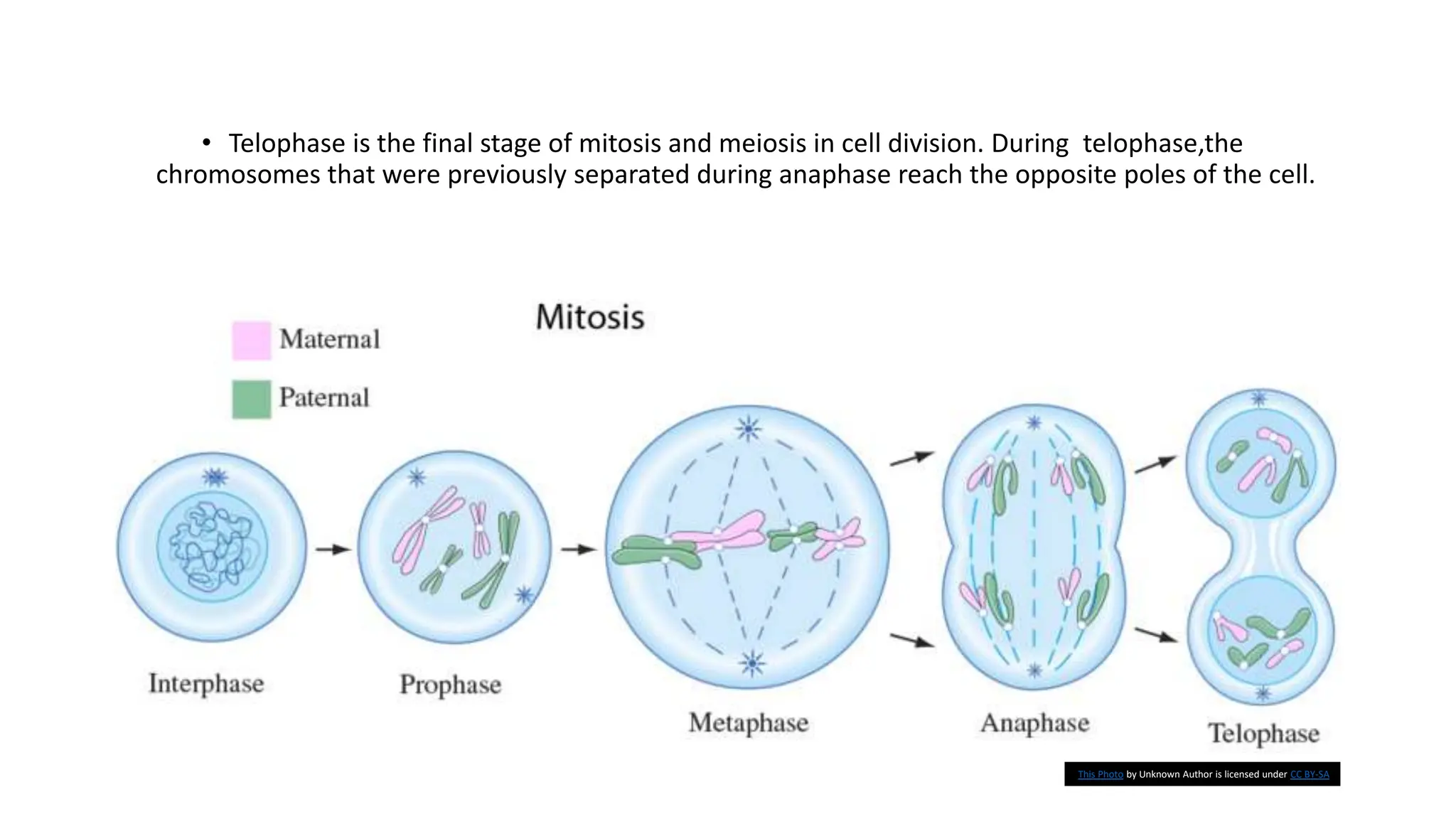 SCIENCE.pptxdfhjkkllllllllrfghyrewr5.mjiy