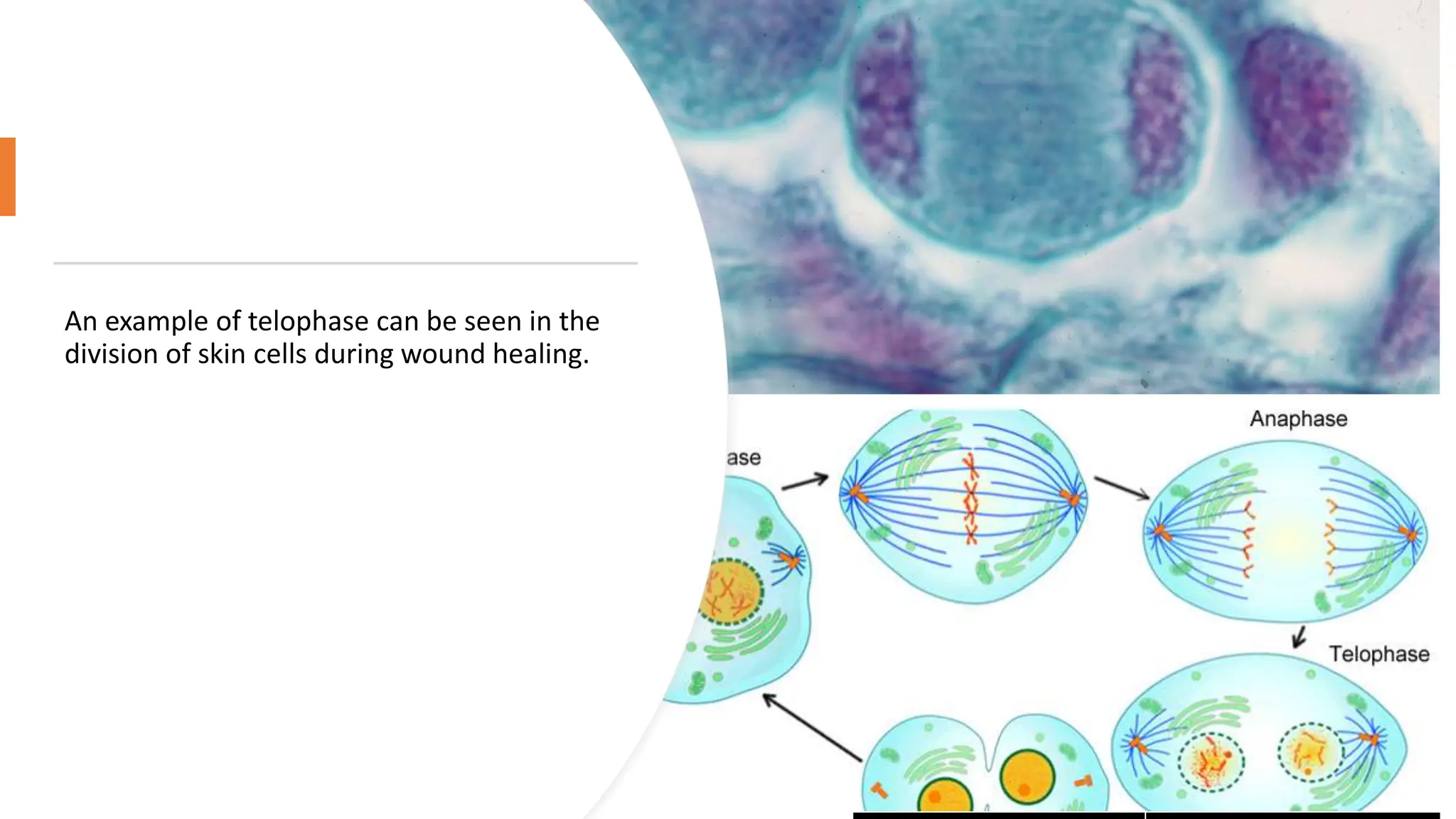 SCIENCE.pptxdfhjkkllllllllrfghyrewr5.mjiy